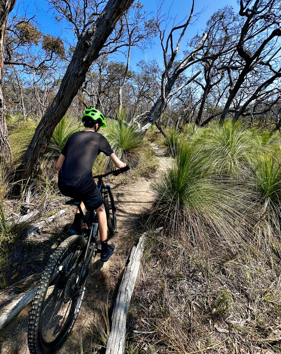 Anglesea Mountain Bike Trails: Explore Victoria’s Coastal MTB Adventure ...